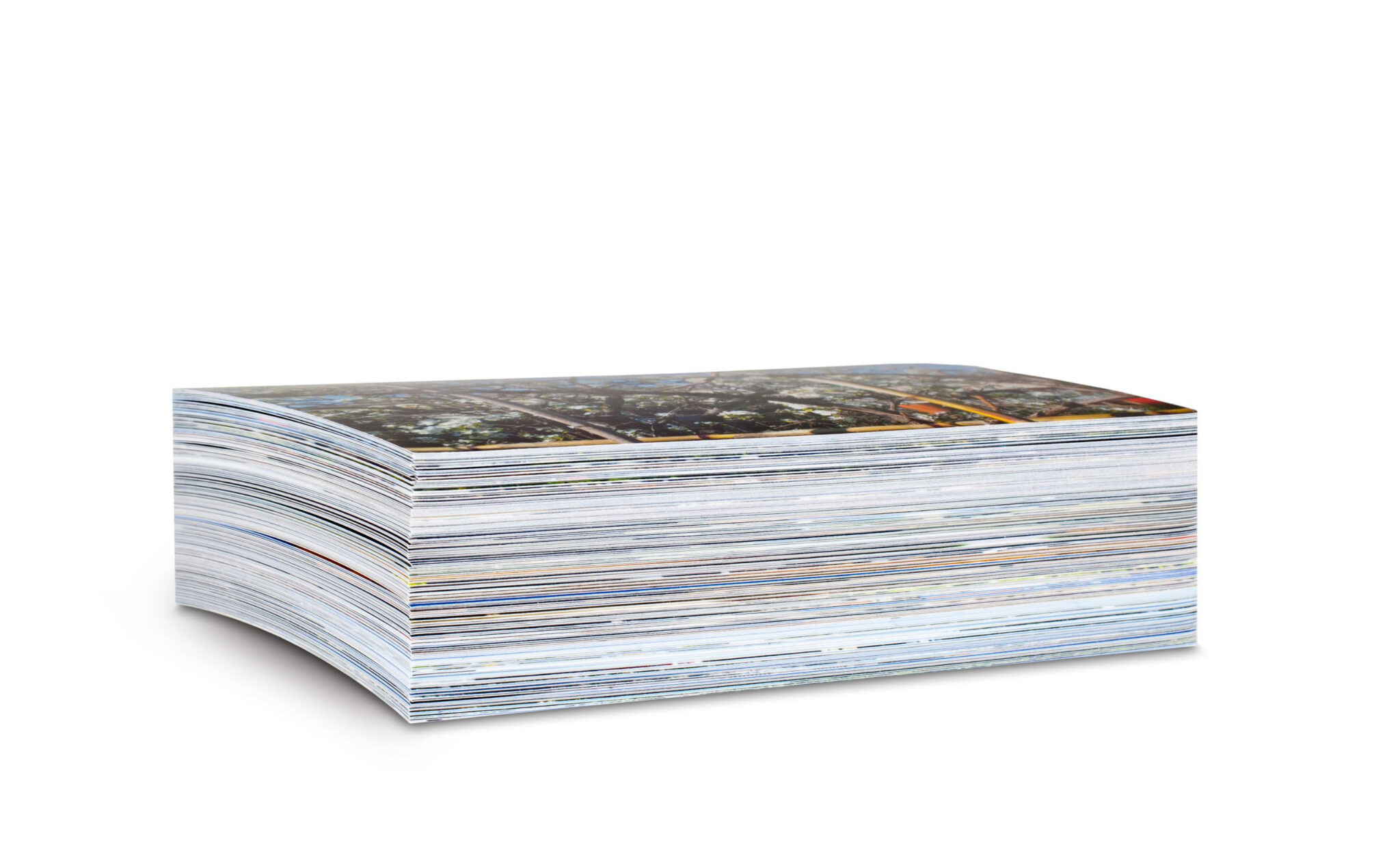 How to Easily Digitize and Organize Old Photos: A Simple Guide - Showit ...